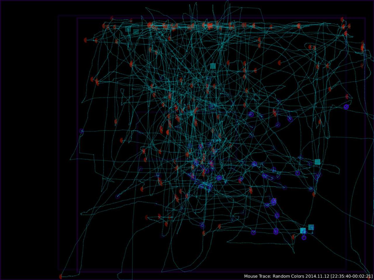 Mouse Tracings | ixora.io